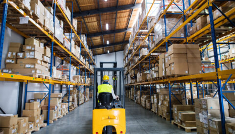 Nosotros - SEGUGROUP